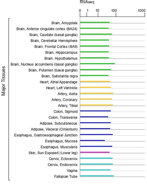 Wfs1 Gene Genecards Wfs1 Protein Wfs1 Antibody