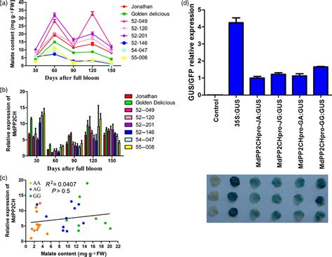 Figure 5 From Apple Fruit Acidity Is Genetically Diversified By Natural