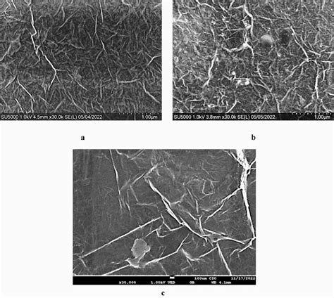 Morphological Characterizations By Fesem Of A Spgsw F Wt B