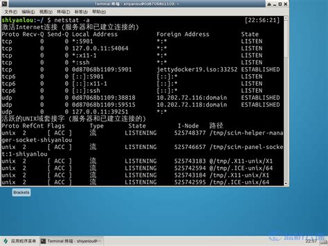 Linux系统命令 蓝桥云课