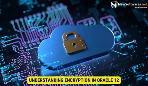 How To Encrypt Column Data In Oracle 12 Blog