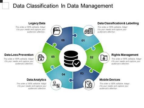 data classification in data management powerpoint topics powerpoint