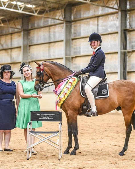 Asp Victorian Show Results