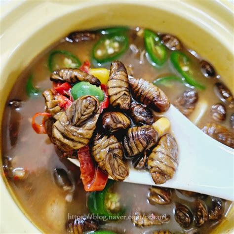 번데기탕 만드는법 다이소 계란찜기 번데기 다이어트 술안주 음식 요리 조리법