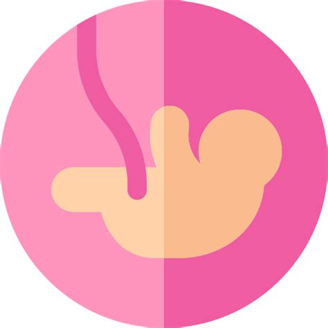 Fetus Basic Rounded Flat Icon Fetus Basic Rounded Flat Icon