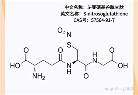 S 亚硝基谷胱甘肽是谷胱甘肽的s 亚硝化衍生物，也是一氧化氮供体 知乎