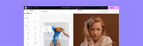 Elementor Website Builder 단순한 페이지 빌더 그 이상 워드프레스 플러그인 Wordpress