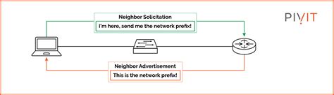neighbor discovery
