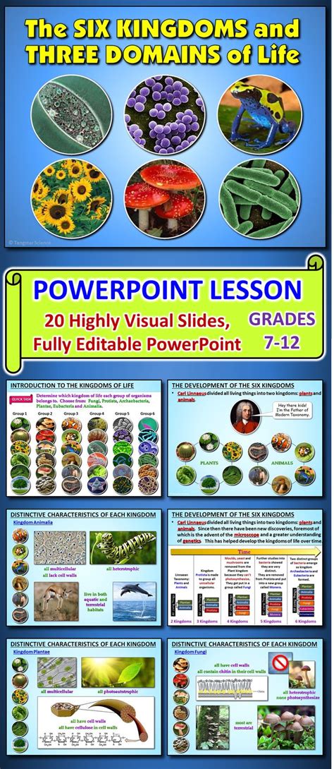 Six Kingdoms And Three Domains Of Life Powerpoint Fully Editable