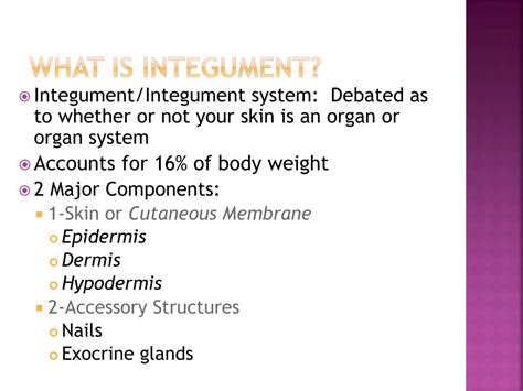 PPT Unit Integumentary System PowerPoint Presentation Free Download ID