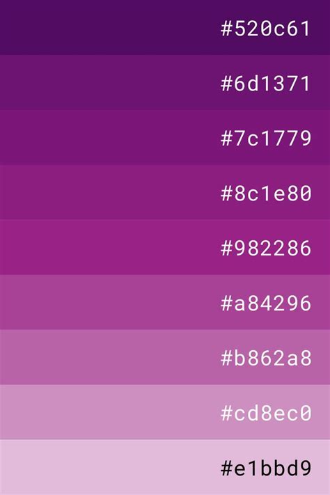 Elegant Shades Of Purple