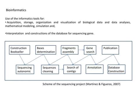 PPT Bioinformatics PowerPoint Presentation Free Download ID
