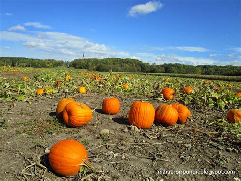 Marathon Pundit Photo Illinois Pumpkin Patch