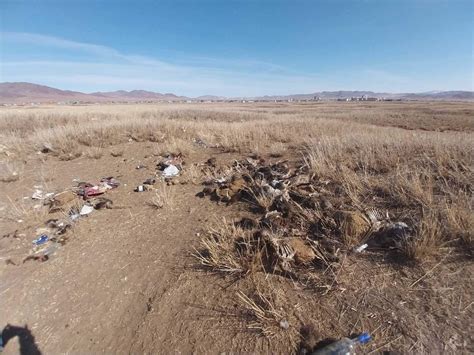 Хөвсгөл аймаг Мөрөн хотын Засаг даргын тамгын газар