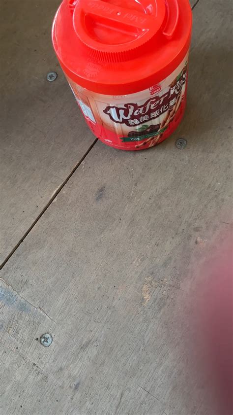 Pmo Test Object Detection Model By Ntut