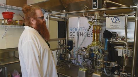 Root Sciences Home Facebook