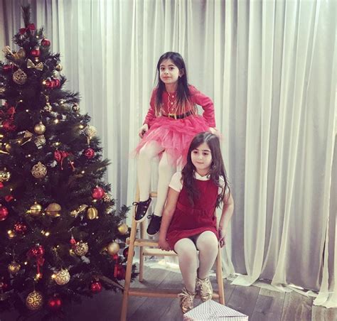 ცნობილების ნაძვის ხეები მშობლები