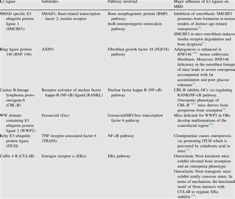 E3 Ligases Regulating Metabolic Bone Diseases Download Scientific