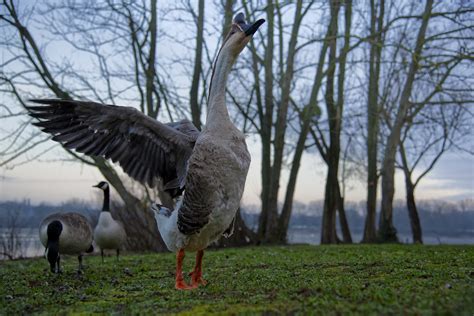 Je Suis Le Maître Du Monde Eric Baudoin Flickr