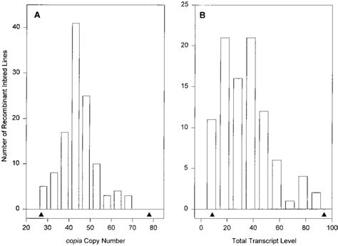 —the Distribution Of Copia Copy Number And Transcript Level Among Download Scientific Diagram