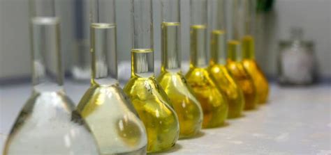 Dga Course E Lesson 11 Post Session Survey Transformers Magazine