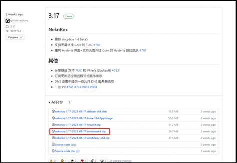 Установка настройка и подключение V2ray прокси Vpn на Linux для использования Chatgpt Ihor