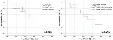 Enumeration And Characterization Of Circulating Tumor Cells In Patients With Hepatocellular