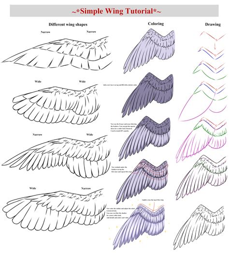 Simple Wing Tutorial By Noiprocss On Deviantart Types Of Wings Drawing Wing Anatomy Reference