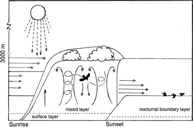 Schematic Overview Of The Development Of The Boundary Layer And Several