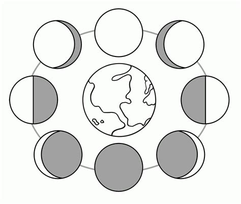 Blank Moon Phase Diagrams Phases Of The Moon Printable Works