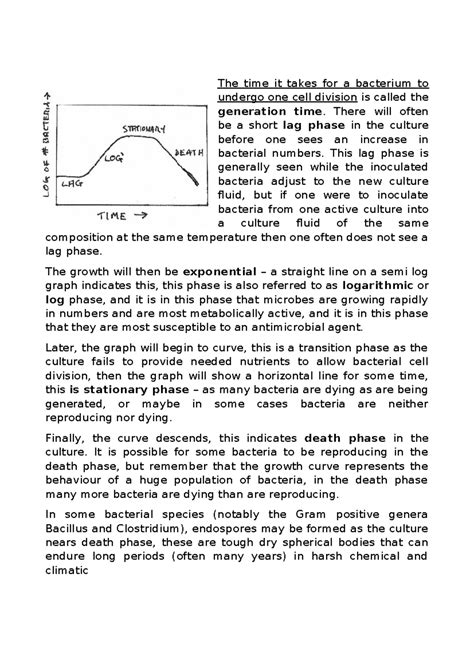 Bacteria Division The Time It Takes For A Bacterium To Undergo One