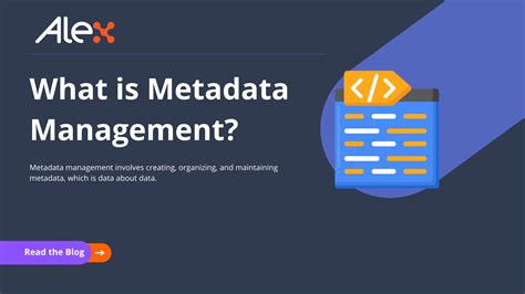 Metadata Management Your Guide To Organizing Data Alex Solutions