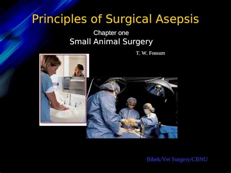 Ppt Principles Of Surgical Asepsis Dokumen Tips
