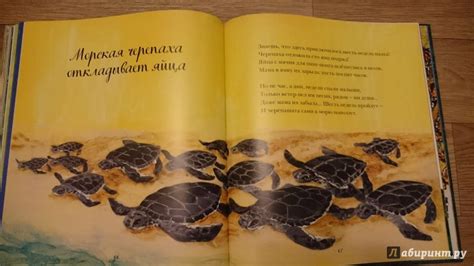 Книга: Красивая книга о животных - Никола Дэвис. Купить книгу, читать ...