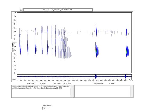 Echolocation Bats Us National Park Service Echolocation Bats Us National Park Service