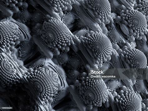 3d 렌더링 추상 프랙탈 배경 미생물 형태 매크로 자연 유기 패턴 양자 세계 바탕 화면 0명에 대한 스톡 사진 및 기타 이미지 Istock