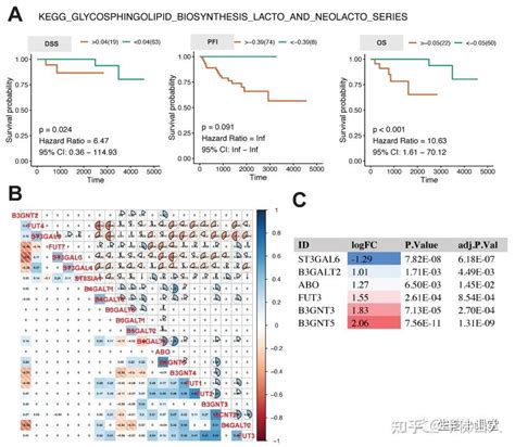 最新9 2分生信，基于代谢分型的多组学分析。高分思路值得借鉴！ 知乎