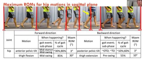 Gait Analysis Flashcards Quizlet