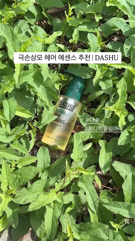 홍대붙임머리 서울붙임머리 합정붙임머리 레이어드붙임머리 소프트팁붙임머리 エクステ 하다비 복성민 원장 💙하다비는 개인을 위한 시술을 합니다💙 작년부터 찾아주신 고객님🫶🏻