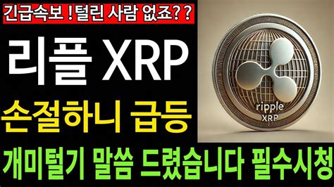 리플 Xrp 긴급속보 털린 사람 없죠 손절하니 급등 개미털기 말씀 드렸습니다 필수시청 코미녀tv Youtube