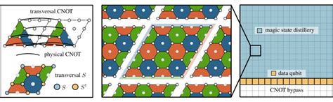Color Codes Feature Transversal Clifford Gates While The Logical Download Scientific Diagram