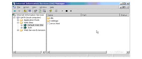 Installing And Configuring The Microsoft Iis Plug In