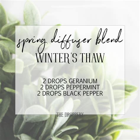 Spring Diffuser Blends The Droppery