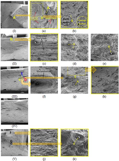 Sem Of The Cn Specimen I Cleavage Fracture Area Ii Iii And Download Scientific Diagram