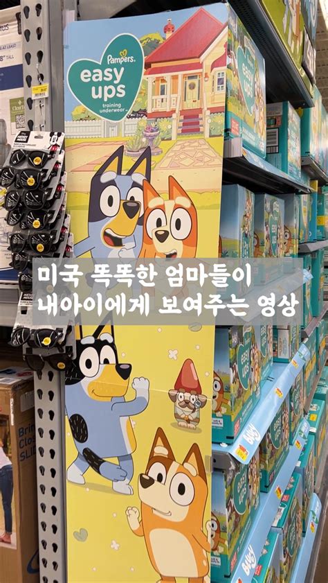 Joung Chung 큰아들이 티칭을 처음 시작했던것은 초등학교 4학년이였어요 그때 영재반에서 학교를 일찍가서 킨더 아이들의 책읽기를 도와 주는 봉사로 시작했었지요