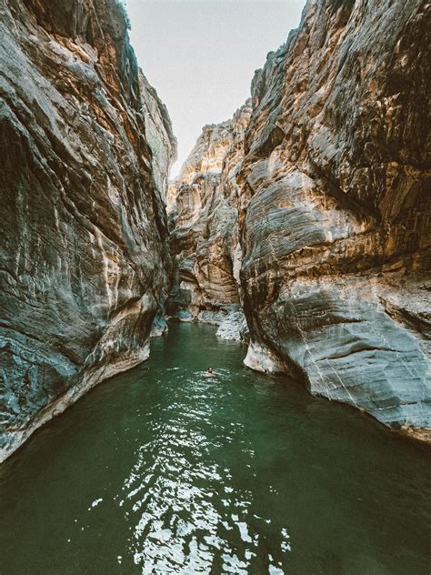 70张最精彩的“صورعبدالحميدبنباديسللطباعة”图片 · 100免费下载 · Pexels素材图片