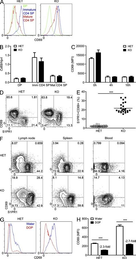 Dynamin 2 Regulates S1pr1 Signaling In Vivo A Cd69 Surface
