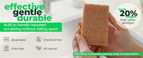 Biogo Biodegradable Kitchen Sponges Natural Cellulose