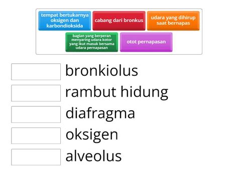 Bagaimana Aku Tumbuh dan Berkembang? - Match up