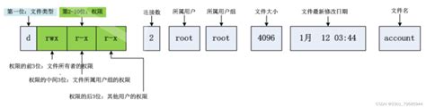 【linux的权限命令详解】linux 文件赋予权限 Csdn博客